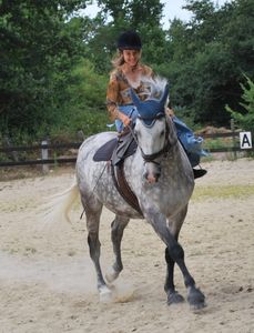 Programme du galop équitation en 9 amazone - Equitation monte en amazone