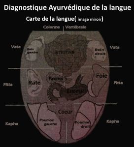 La Langue, un outil de diagnostique de la santé. - Atelier des Soins ...