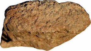 L’évolution de la vie - PALEO'EXPO