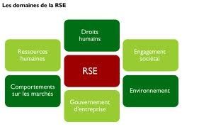 Responsabilité sociale des Entreprises (RSE) : Contraintes ou devoirs ...