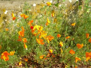 Contact - Le site de Brigitte Bonnet