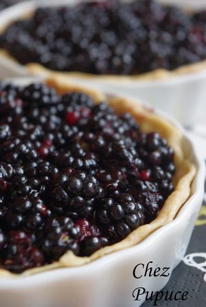 Tartelettes au lemon curd et mûres - Chez Pupuce
