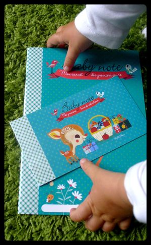 Le carnet Baby Note pour accueillir bébé à la maternité - Cerise sur le ...