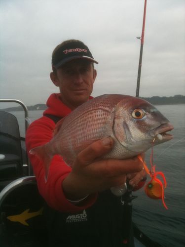 La pêche du pagre au madaï - Le blog de Breizh pêche 29