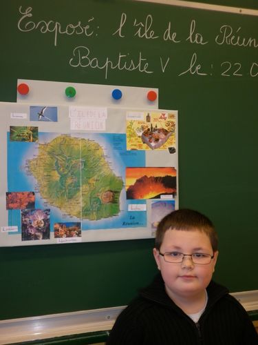 L'île de la Réunion (exposé) - ecolesaintmicheletaples