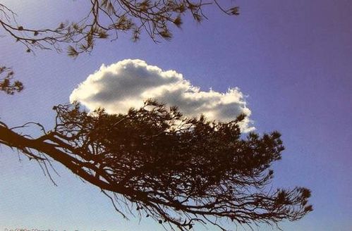 Les 6 "R" qui libèrent le mental - être soi-même