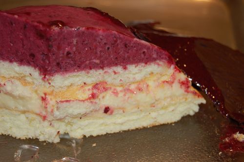 Entremet fruits rouges et citron sous son dôme chocolaté - Ouvrez grand ...