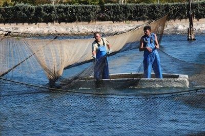 DIMANCHE 24 JUILLET : MESSES A MARTIGUES - PAROISSES DE MARTIGUES ET ...