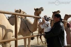 STEVEN SEAGAL FAIT DES TRUCS - LE COMPTOIR DU CINEPHAGE