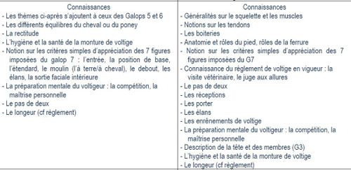 Galop 1 à 9 Voltige - Le blog de mapassionleschevaux.over-blog.com