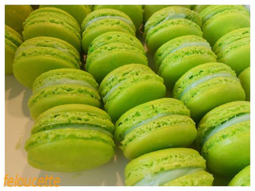 macarons au cactus - "c'est fait maison à 100%"