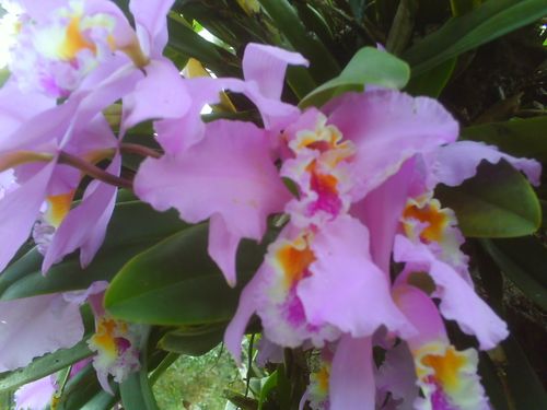 Pozo Azul se encuentra entre la Selva del río El Toco, Parque Nacional ...
