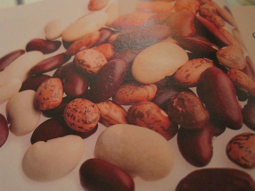 Le Haricot rouge - Coaching sportif, nutrition, renforcement musculaire ...