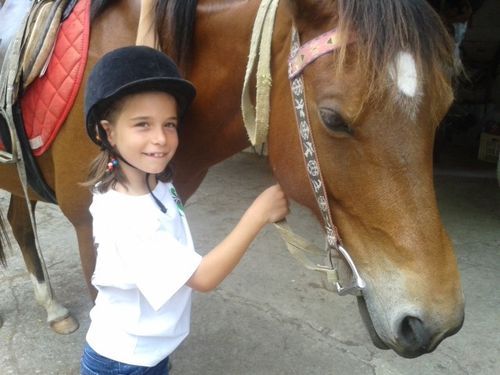 Mon premier Galop ! - catsi-des-iles