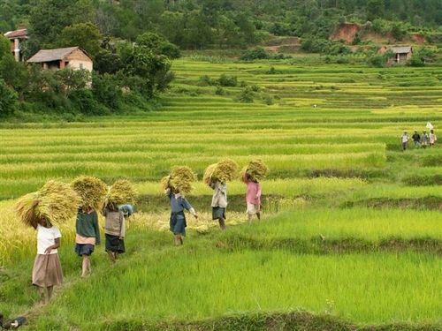 30-Photos commentées de voyages à MADAGASCAR, autres régions et texte ...