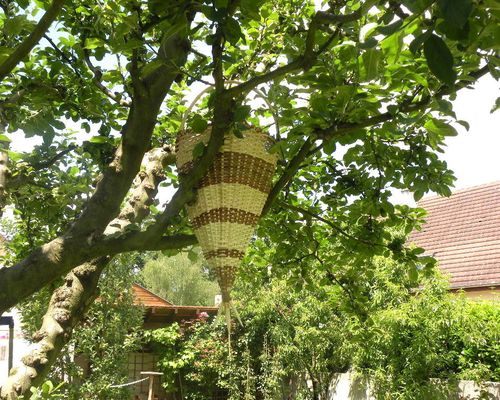 Cajole - les mains au panier