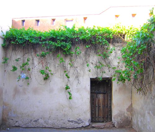 Bab Dbagh à Marrakech (باب الدباغ بمراكش) - ART DE LA LIGNE ...