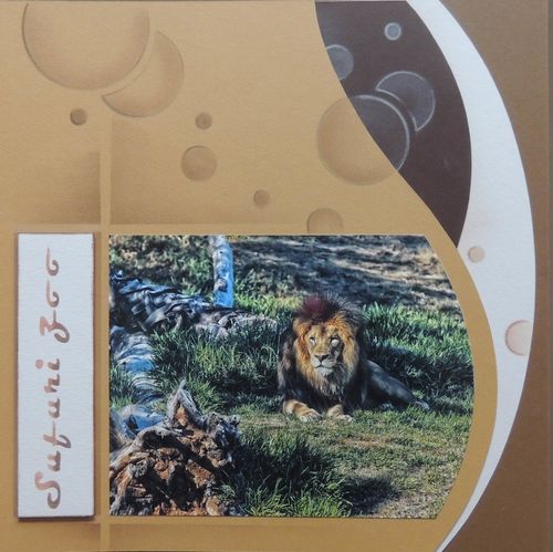 Safari zoo - Scrap sans frontières