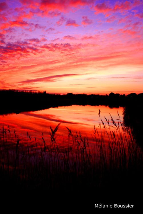 Art de vue (Mélanie Boussier) - Photographe - Histoire Sans Fin