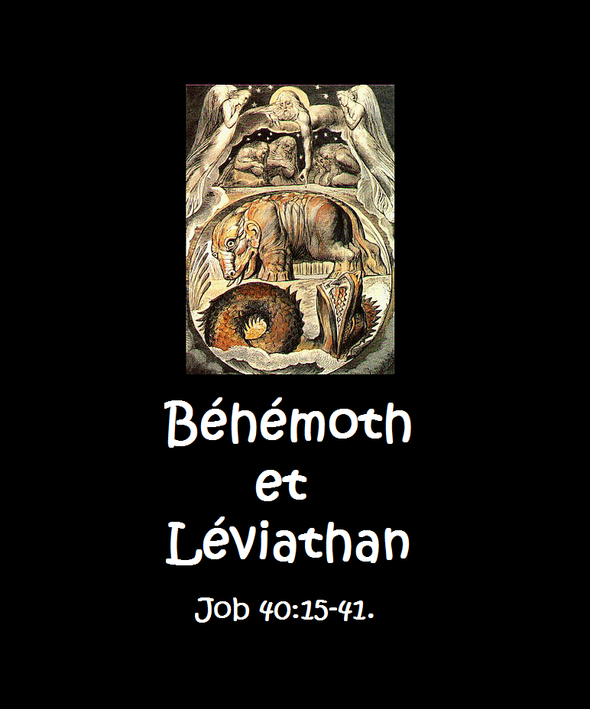 Paroles bibliques - Contes de Wolfram