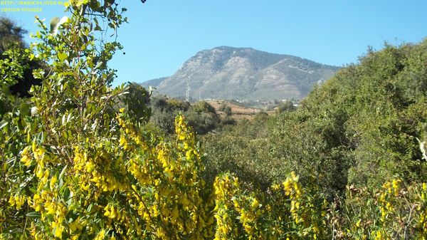 باب برد BAB BERRED - Le blog de maroc24