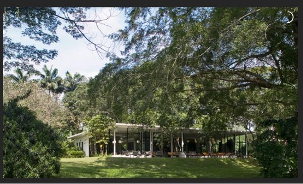 Pssst, PS Cafe! - Follow the white rabbit - Mathilde Bétinas