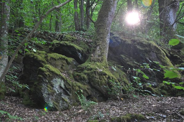 Nohan sur Semoy : vers le Château de Linchamps - Le blog de photos-de ...