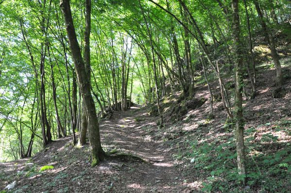 Nohan sur Semoy : vers le Château de Linchamps - Le blog de photos-de ...