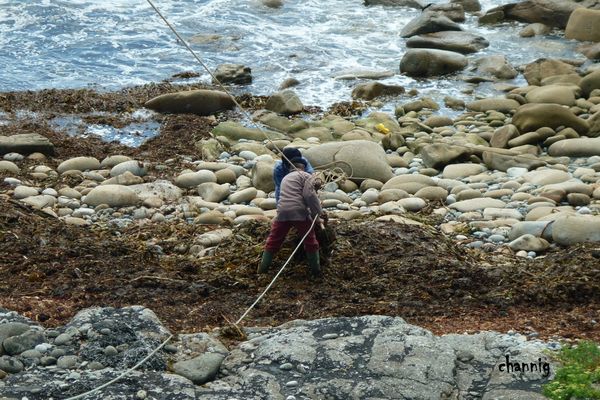 La fête du goémon (1/2) - le phare le plus élevé de la côte charentaise