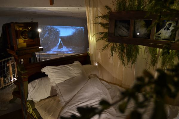 vitrine exposition avec Jacques Cousin - Le blog de sauverlesmeubles