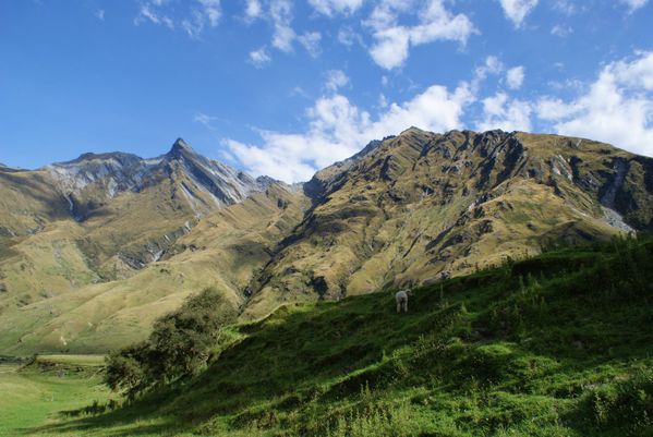 Wanaka : un nouvel an de dernière minute dans un cadre incroyable ...
