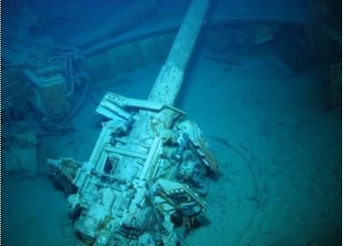 Port Nicholson, l'épave qui valait trois milliards - Seabird