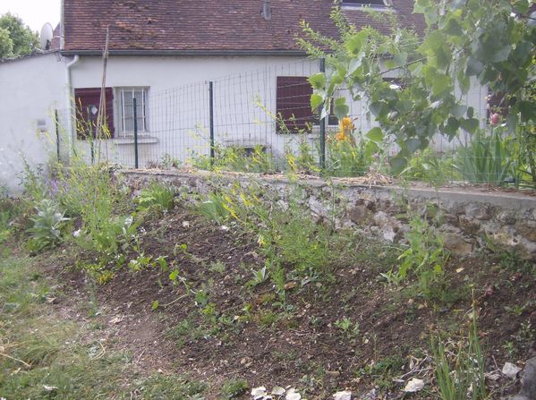 MINI POTAGER SUR LE TALUS....... - Le blog de brindherbe