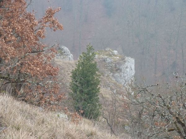 De la combe Charbonnière aux Balcons de St Fol (23/2/2012) - randodujeudi