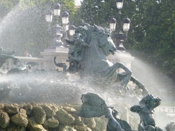 Bordeaux : chevaux! - Equitation monte en amazone