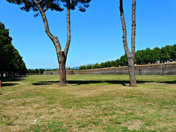 Toscane : Lucques (Lucca)