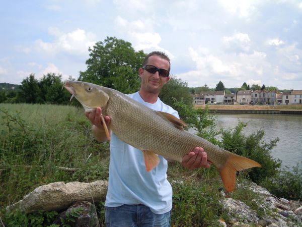 "VX 50"/Ecogear (10g-5cm): Top Blade ! - CARN'AS