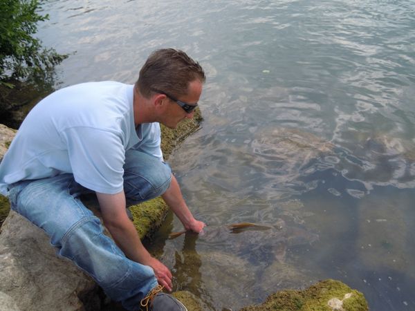 "VX 50"/Ecogear (10g-5cm): Top Blade ! - CARN'AS