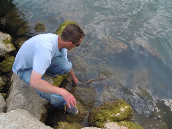 "VX 50"/Ecogear (10g-5cm): Top Blade ! - CARN'AS