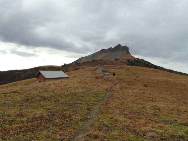 Plateau des Bénés ( 1723m) et la cabane du Pâtre (1915m) - Randonnée ...