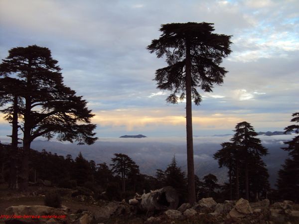 photos tizeran جبل تيزيران - Le blog de bab berredباب برد