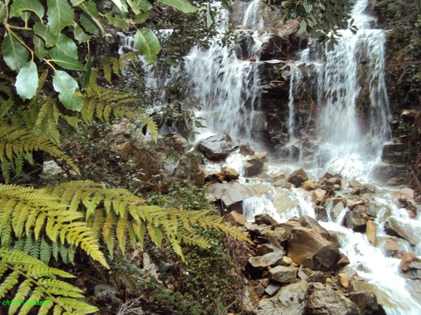 photos tizeran جبل تيزيران - Le blog de bab berredباب برد