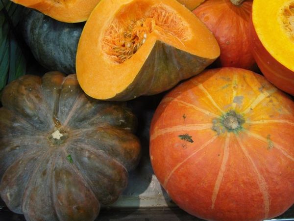 Soupe de potiron - Végétari1