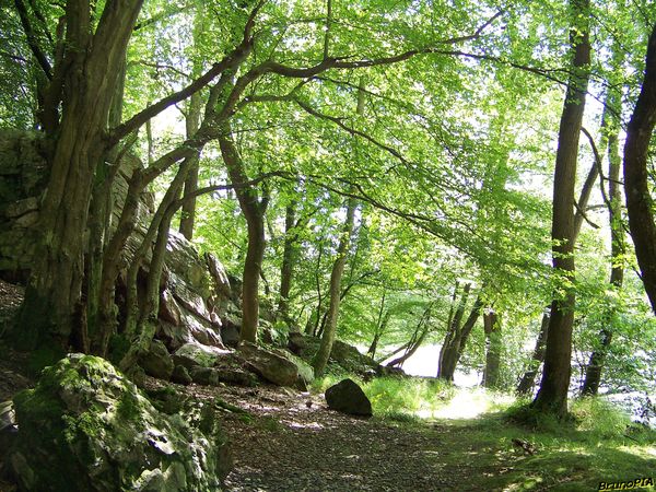 Canoé sur la Semoy - Le blog de photos-de-promenades-en-ardennes