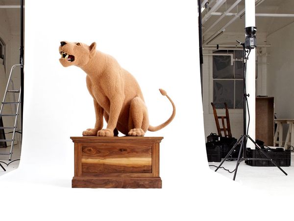 Crochetdermy - M_tricote