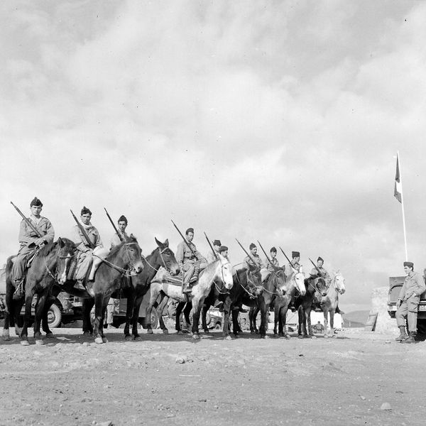 Harkis - istoria unui abandon - Le blog de marcela-feraru.com