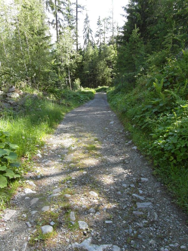 Chalet de Cerro (1358m) Plateau des Pyramides Glacier des Bossons(2000m ...